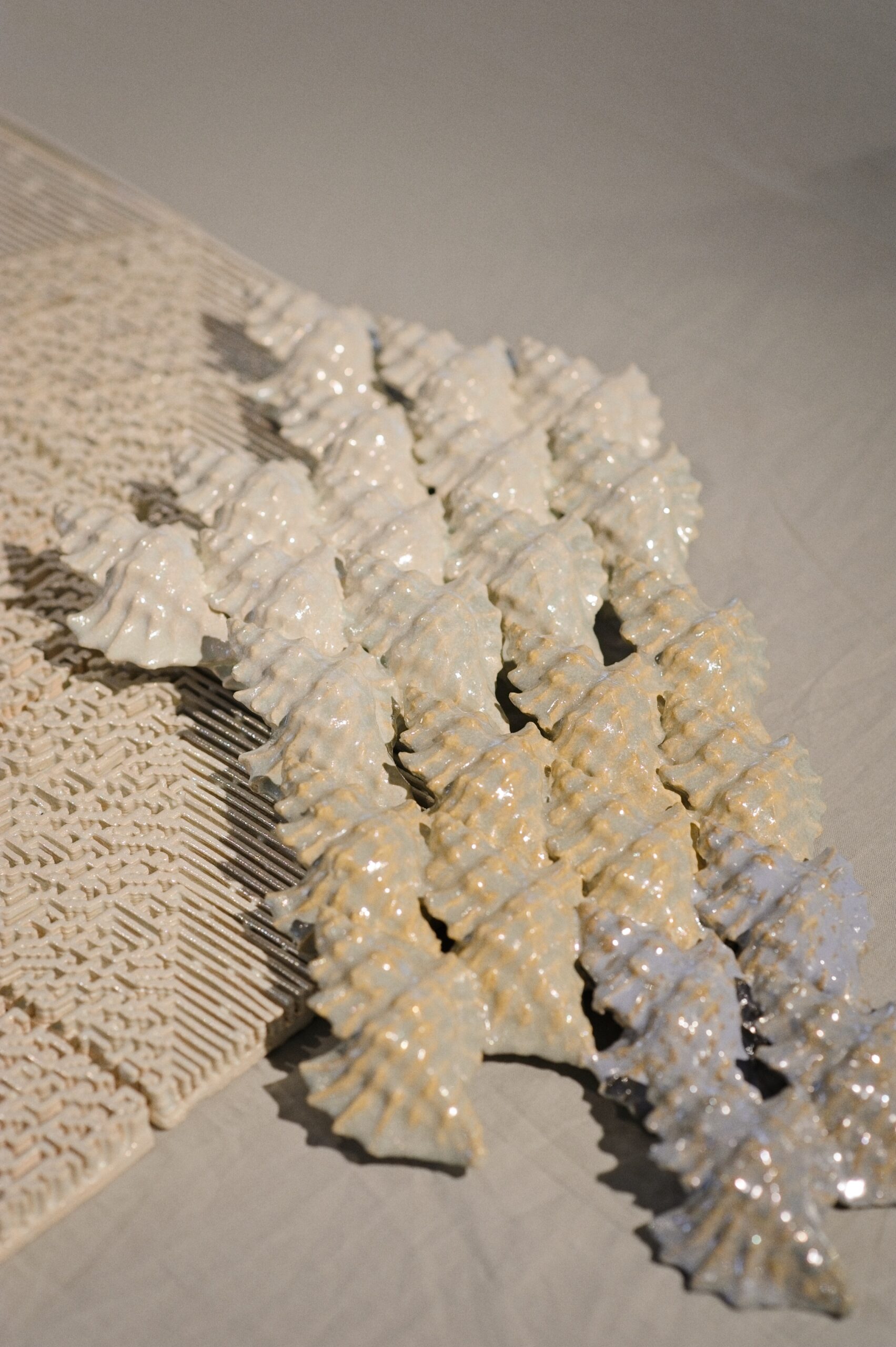 Csilla Nagy: Nature Rules | KONCEPT magazín